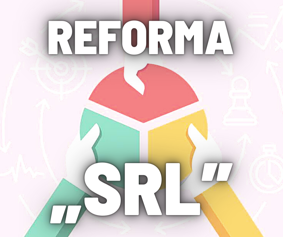 Reforma SRL - Dumitru Alaiba
